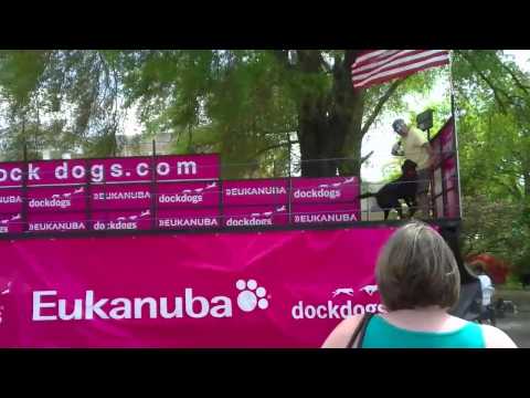 2014 Dogwood Festival