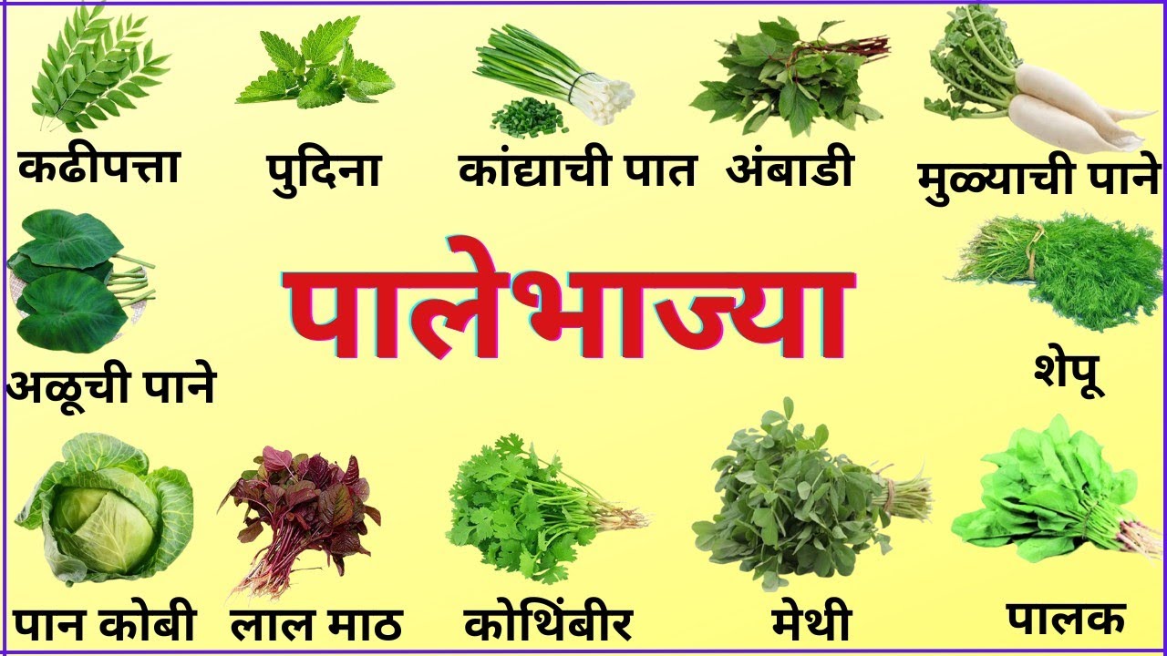 पालेभाज्या | भाज्यांची नावे मराठी | Palebhajya | bhajyanchi olakh ...
