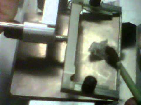 Cryostat rat brain sectioning - YouTube