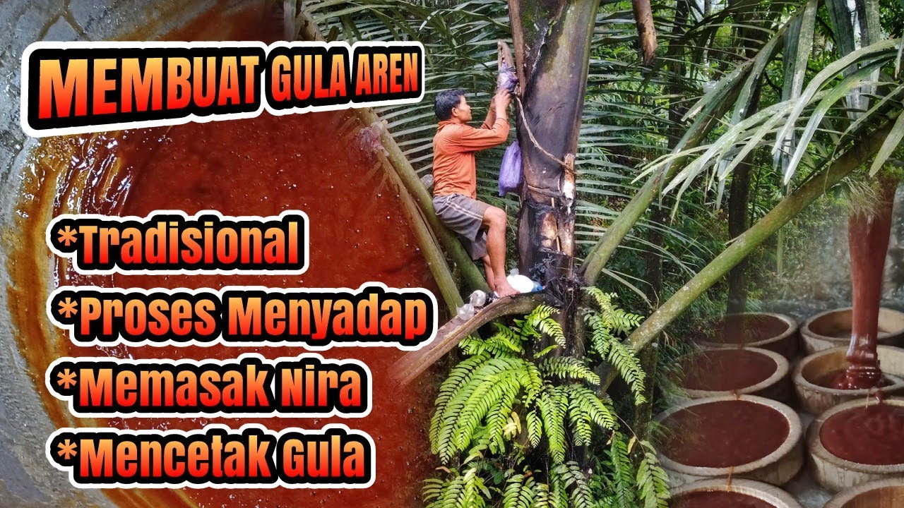 PROSES PEMBUATAN GULA AREN TRADISIONAL - YouTube