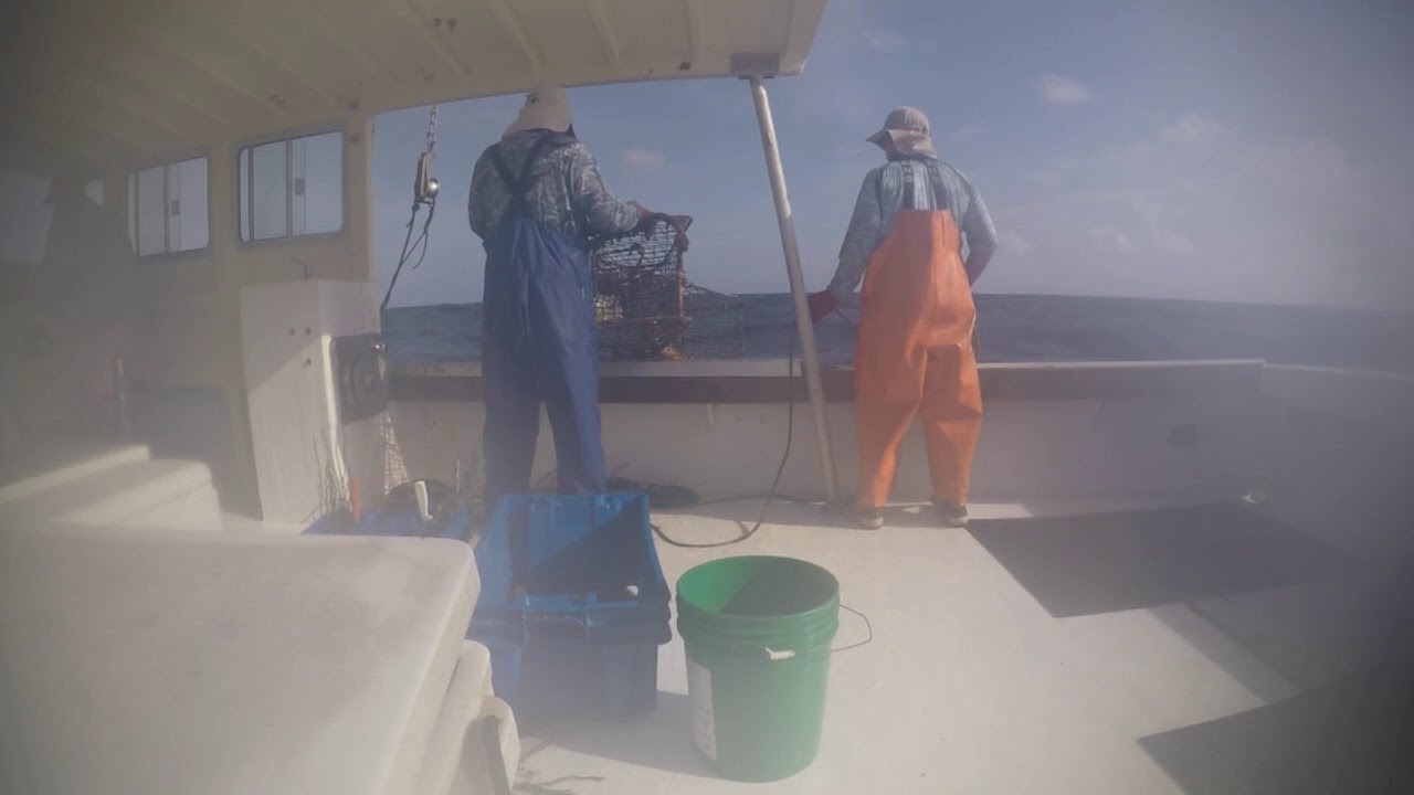 Commercial Fishing On The Saba Bank - YouTube
