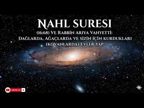 SON AHİT SURE 16 EL NAHL-ARI (ARAPÇA-TÜRKÇE)
