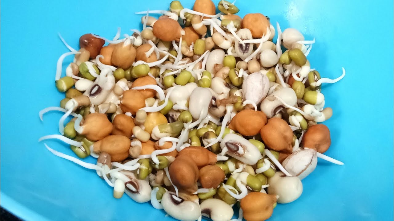 How to make sprouts at home / sprouts recipe / multi grain sprouts ...