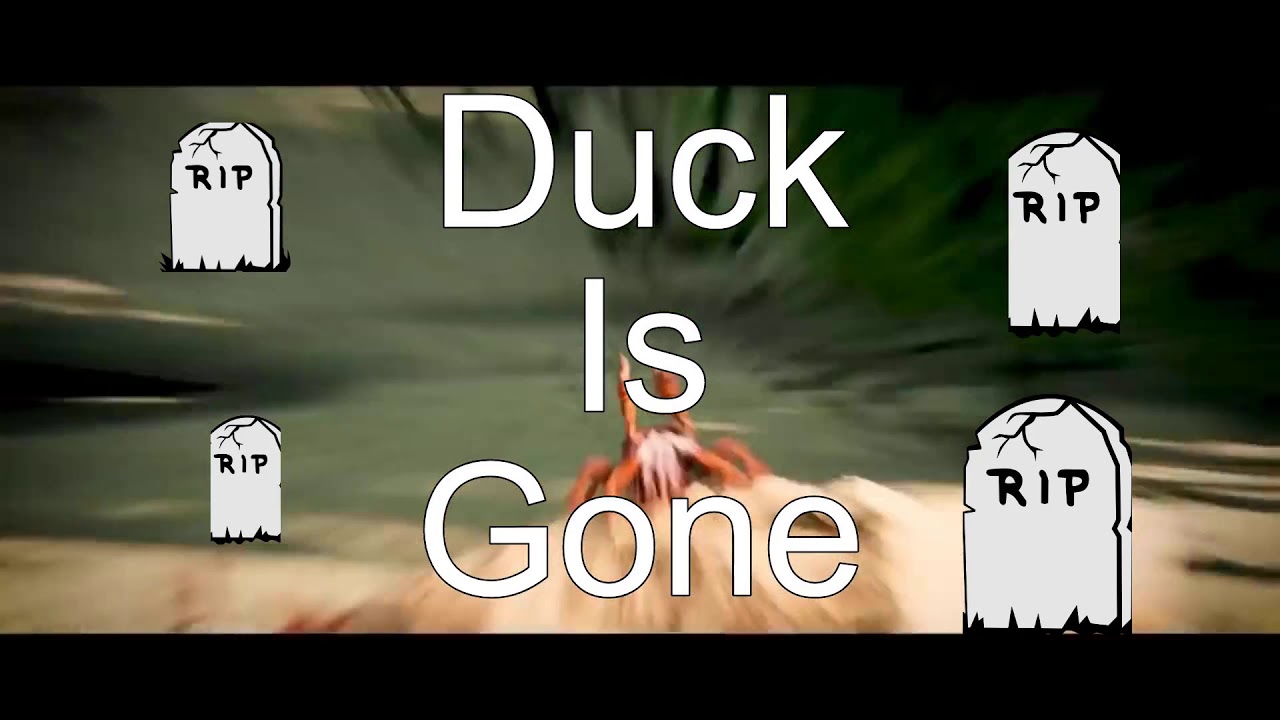 rip duck - YouTube