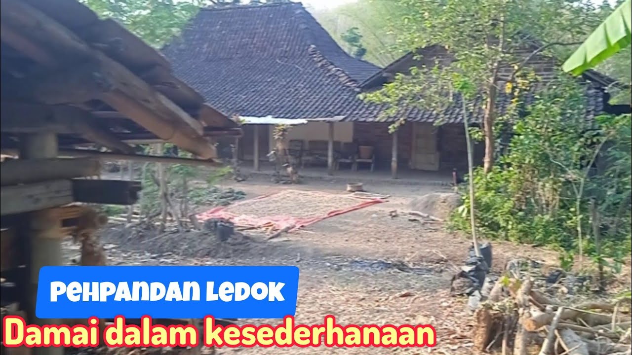 KEHIDUPAN SUKU JAWA di Kampung pinggiran Jawa Timur // Pedesaan ...