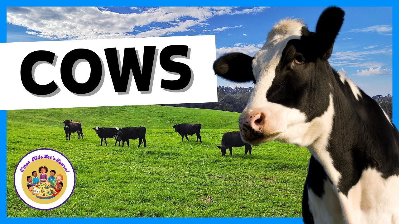 Kids Educational Videos | Kindergarten and Elementary ENGLISH | 🐄 Fun ...