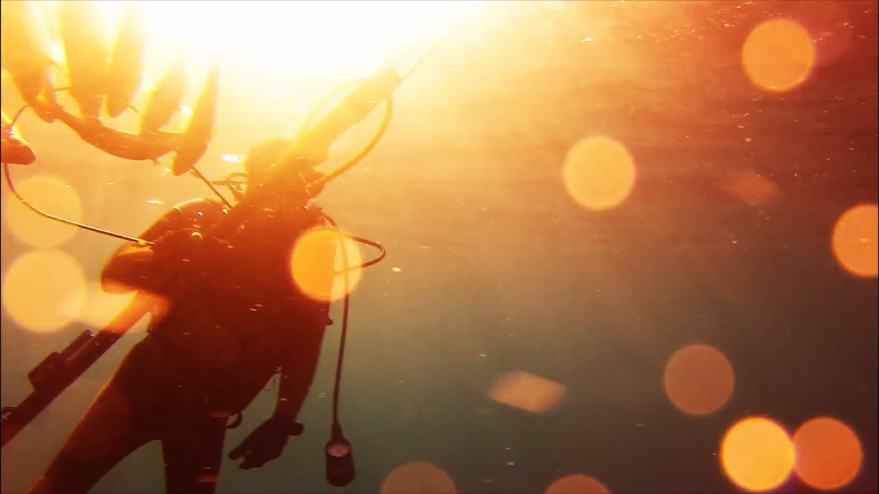 Florida Middle Grounds Trip | November 2017 - YouTube