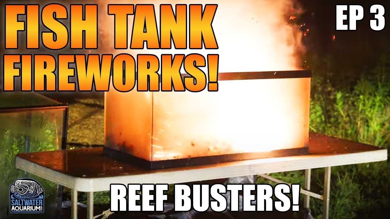 EARLY 4th Of July Fireworks In Your FISH TANK! - Reef Busters - YouTube