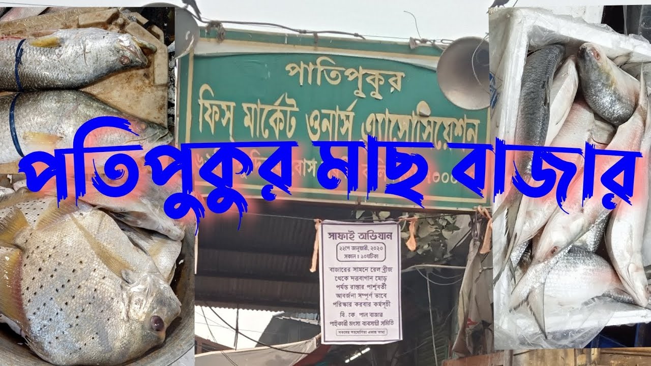Patipukur Wholesale Fish Market. পাতিপুকুর মাছ বাজার কলকাতার পুরনো মাছ ...