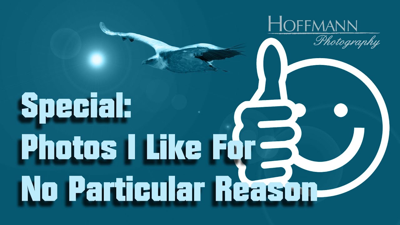 Special: Photos I Like For No Particular Reason - YouTube