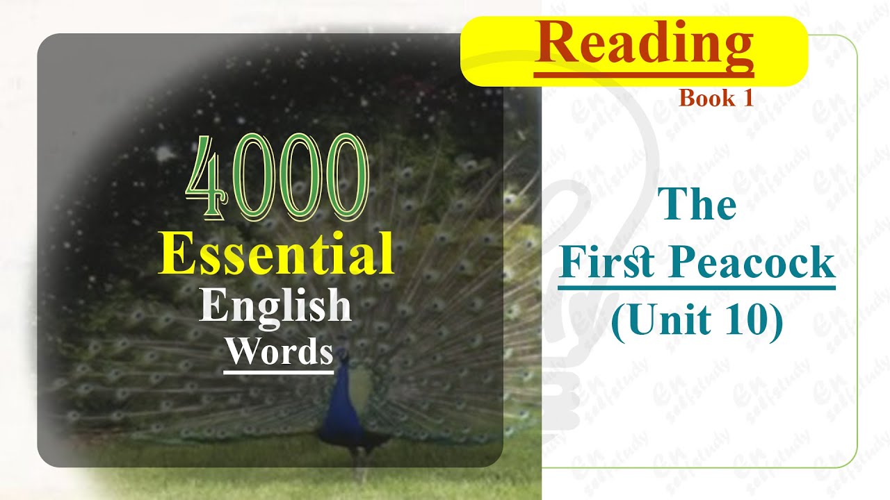 Learn English Through Story | 4000 Essential English Words | Book 1 ...