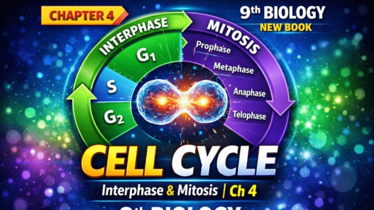 Cell Cycle Class 9 | Cell Cycle - YouTube