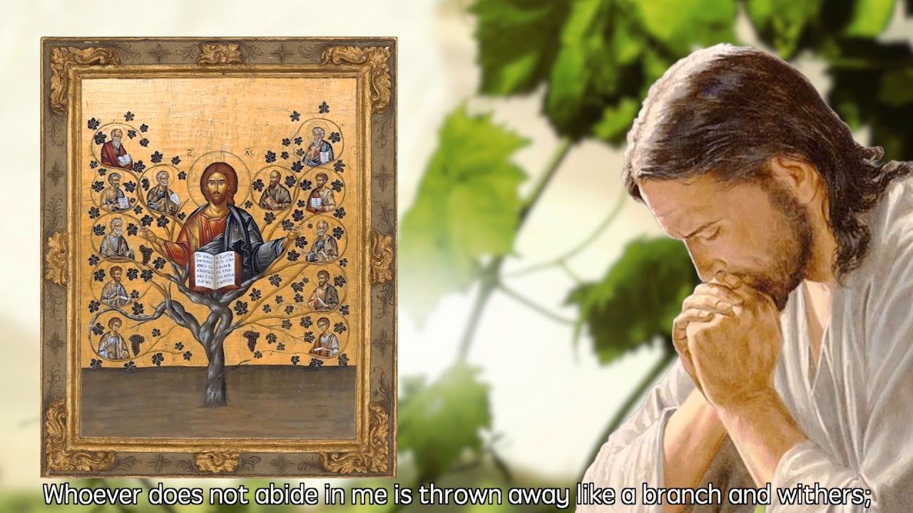John [15:1-8] Jesus the True Vine - YouTube