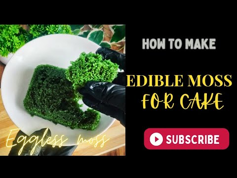 EDIBLE MOSS tutorial💚 ️ | ONLY 1 Minute EGGLESS moss recipe😍 | Edible ...