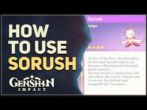 How to use Sorush Genshin Impact
