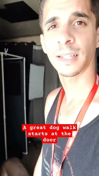 Quick Tip on how to have a GREAT dog walk #transformyourdog # ...