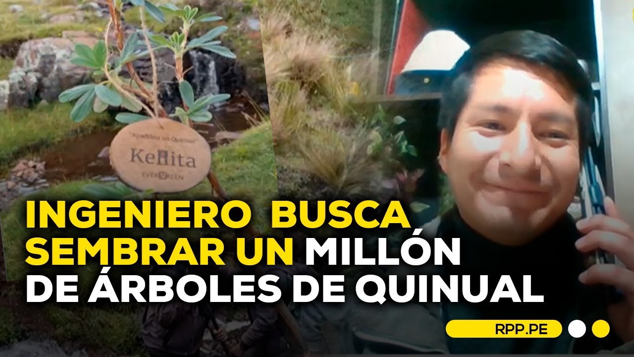 Yo muevo al Perú: ingeniero forestal promueve siembra de árboles de ...