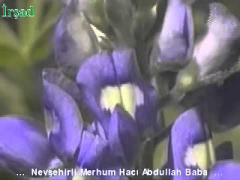 Abdullah baba ilahi bu yol hakka gider