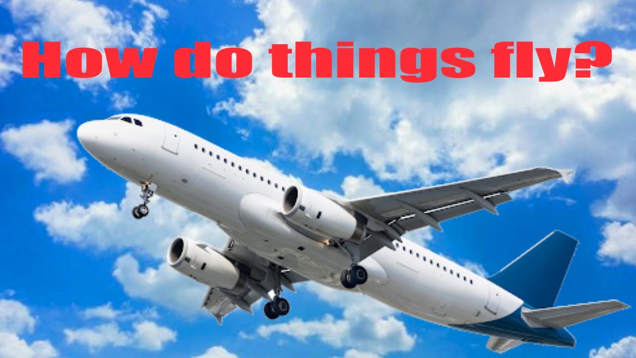 How Do Things Fly? - YouTube
