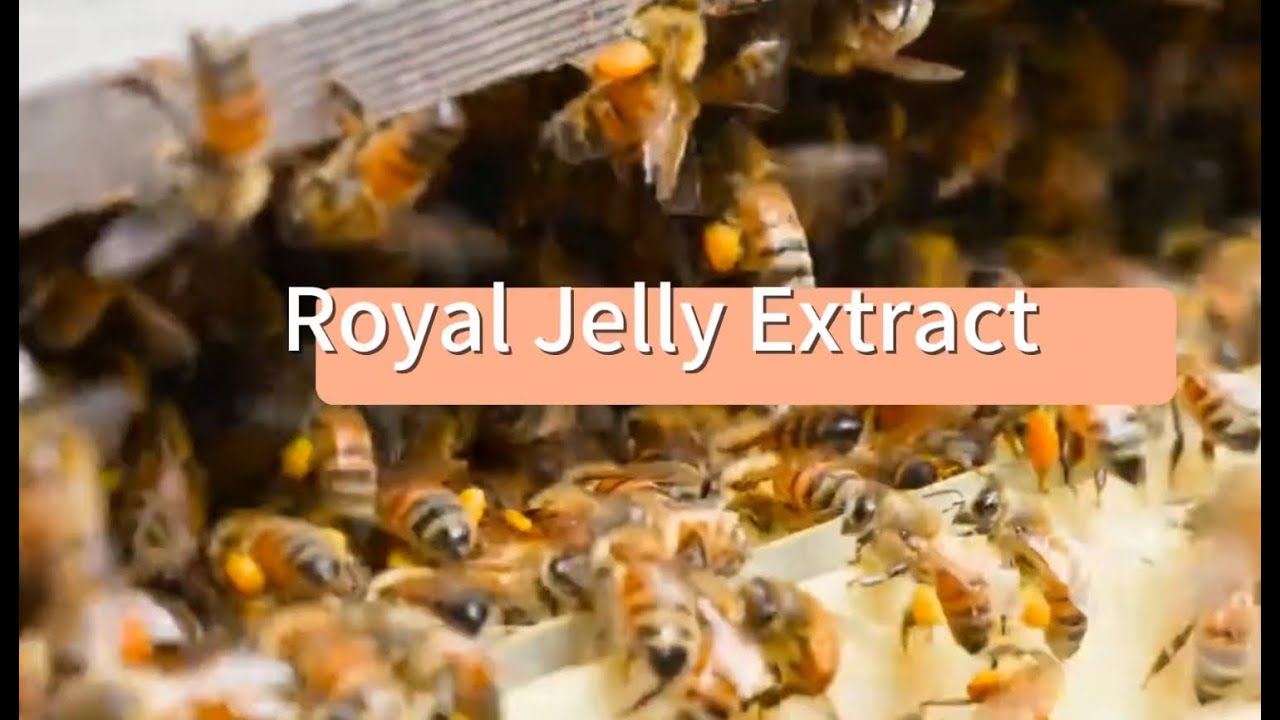 Royal Jelly Extract - YouTube