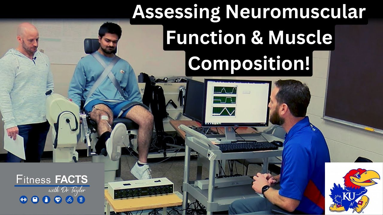 Assessing Neuromuscular Function & Muscle Composition in the KU ...
