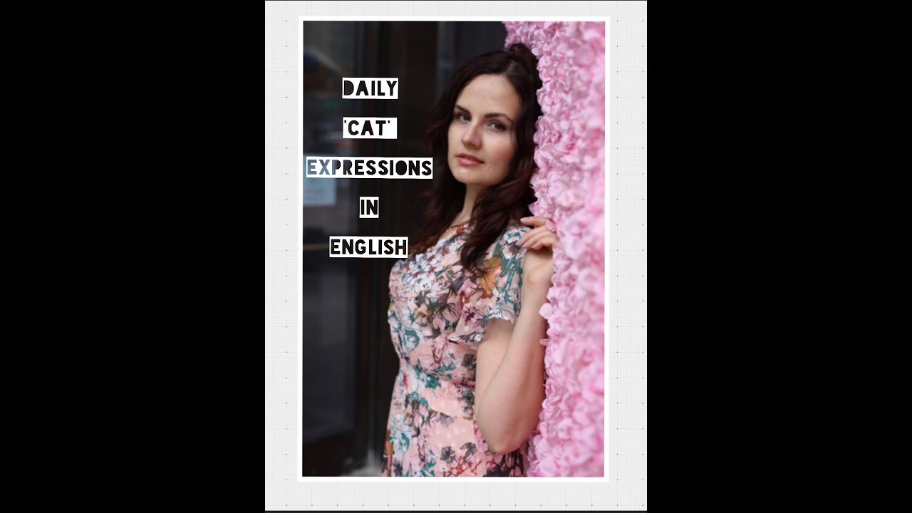 👩‍🏫’Catty’ expressions in American English #nativespeech - YouTube