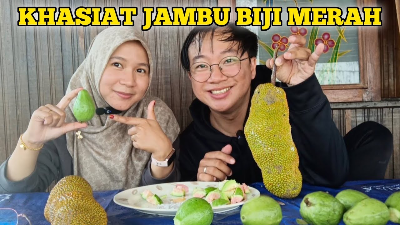 MUKBANG Jambu Biji Merah Penuh Khasiat !! Di Kebun Sawit - YouTube