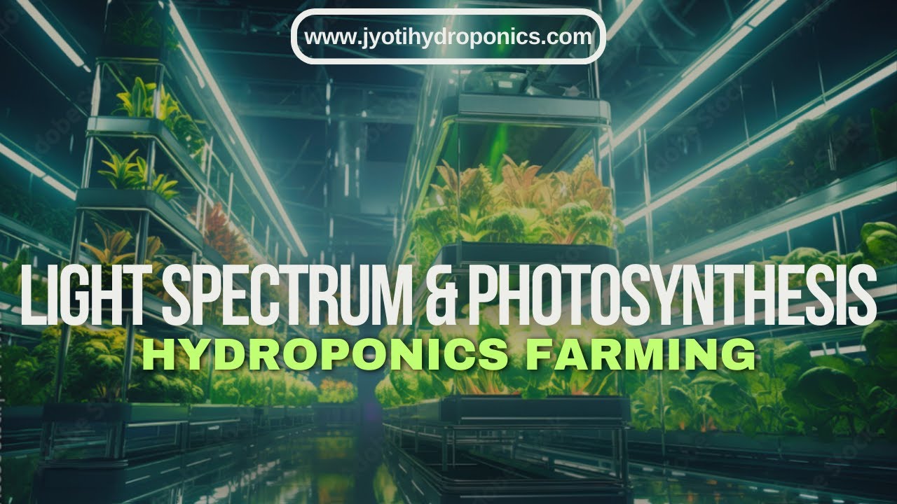 12. Light Spectrum and photosynthesis(Jyoti Hydroponics Farm) - YouTube