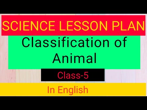 ||Lesson Plan on Classification of Animal|| Class V||Science Lesson ...