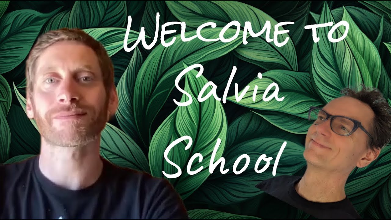 Talk with pro Salvia guide Christopher Solomon. 1.5 hours of advanced ...