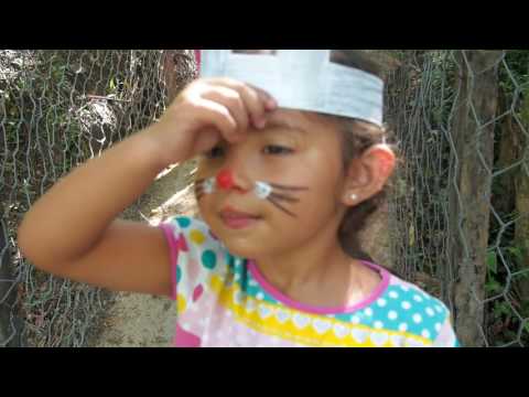 A COELHINHA CURIOSA - FASE I - INFANTIL