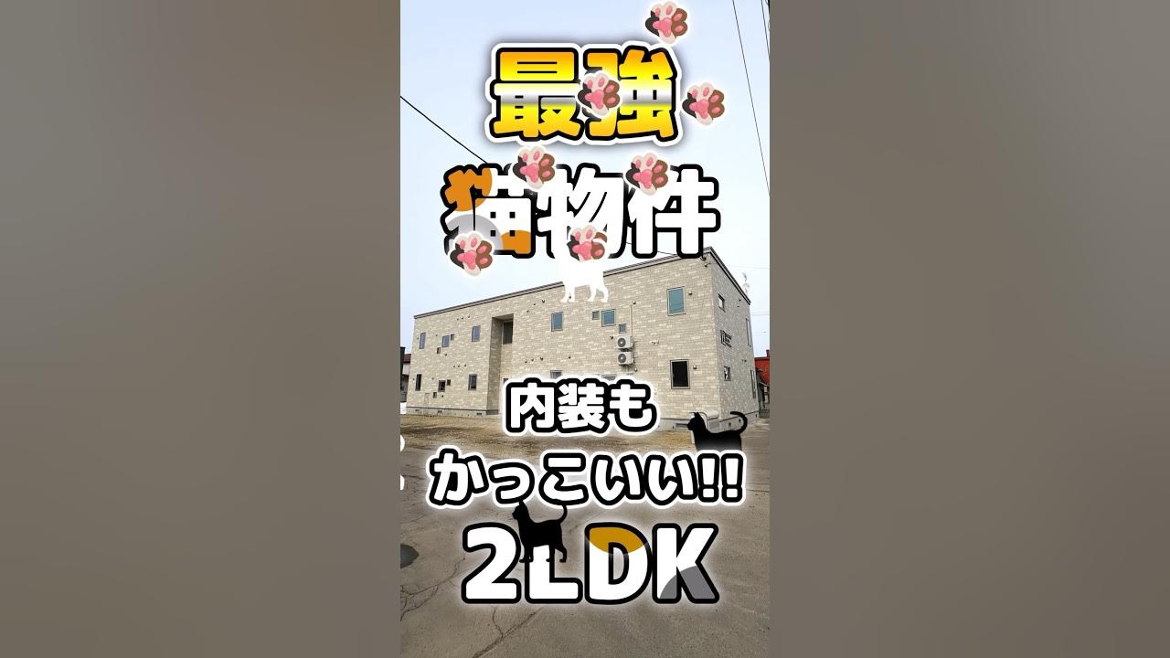【ファスト内見】超猫物件！めちゃくちゃかっこいい2LDKです！ #札幌 #賃貸 #不動産 #北海道 #物件 #エフズライフ #shorts - YouTube