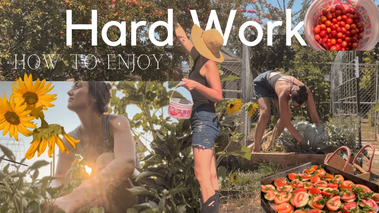 How to Love Hard Work | Summer Garden Harvest and Preservation - YouTube