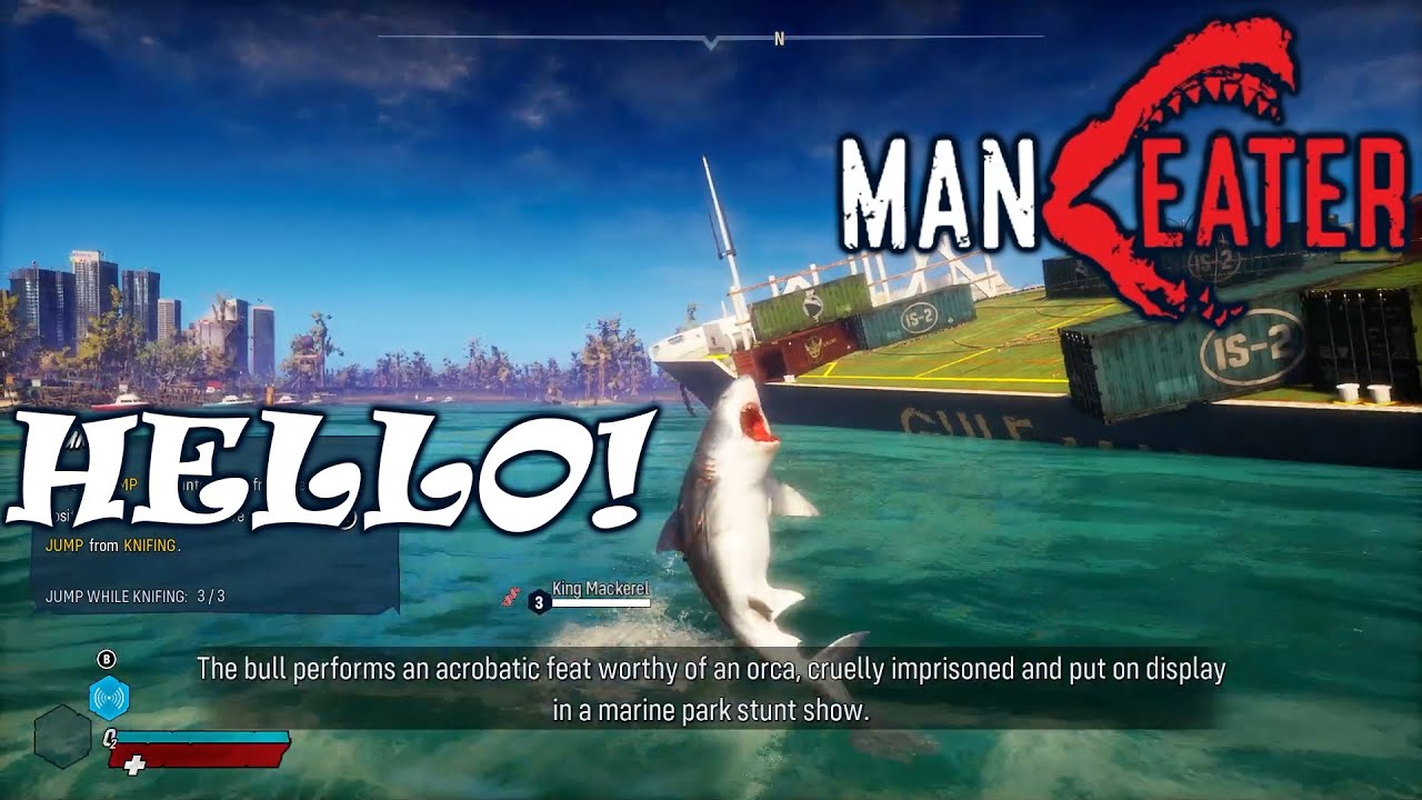 We are shark. Shark is mean. - YouTube