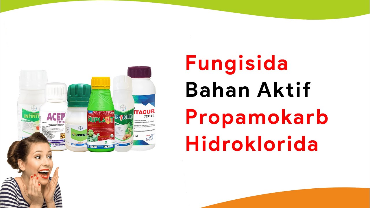 Fungisida Adalah Solusi Perlindungan Tanaman dari Jamur