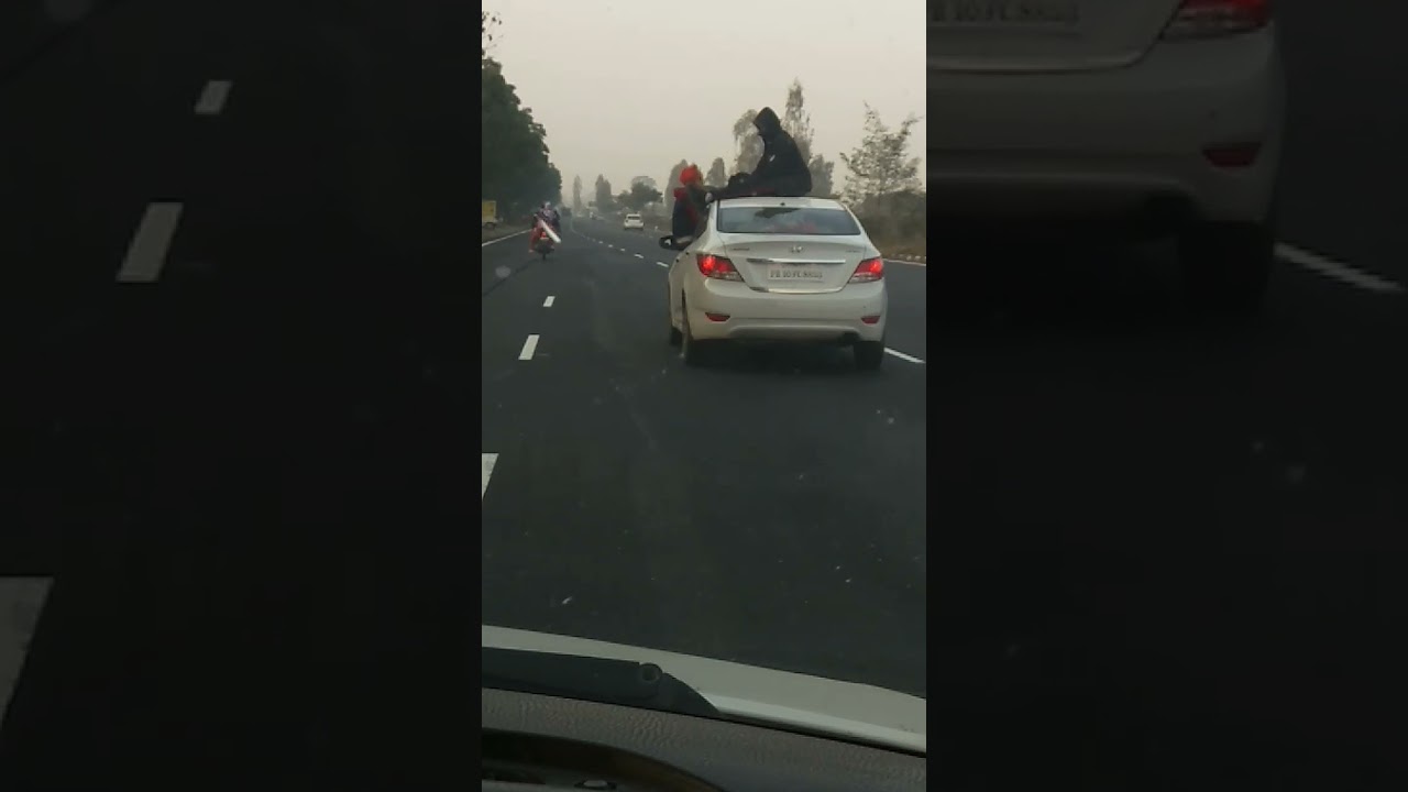 you see this guy number one | number one bull guy | Trending Reels # ...