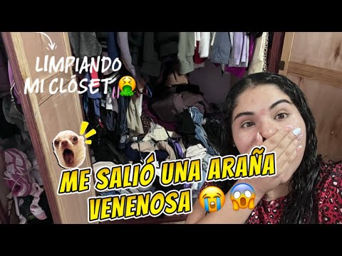 ME SALIÓ UNA ARAÑA VENENOSA 😰😭(LIMPIANDO MI CLÓSET ✨)