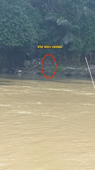 pemberani ‼️ nekat mancing di spot angker sendirian#shorts - YouTube