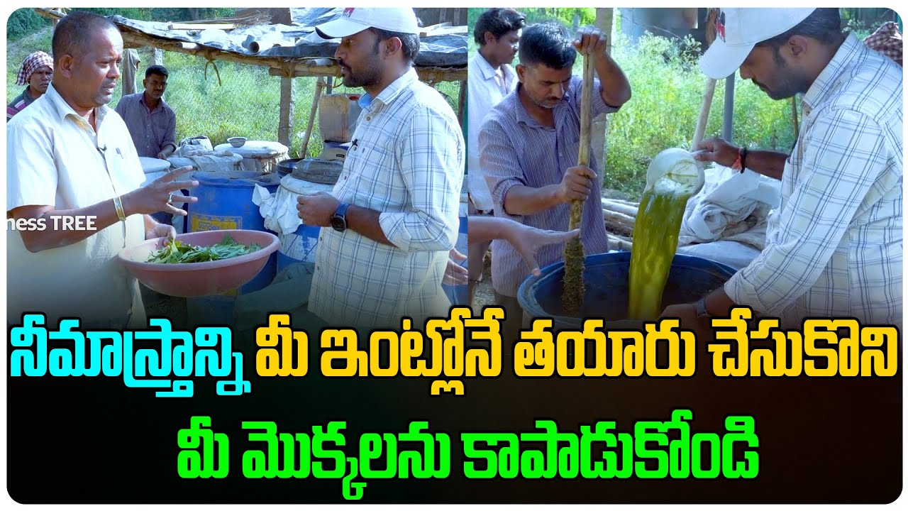 NEEMASTRA Preparation || Subhash Palekar || How to make ORGANIC ...