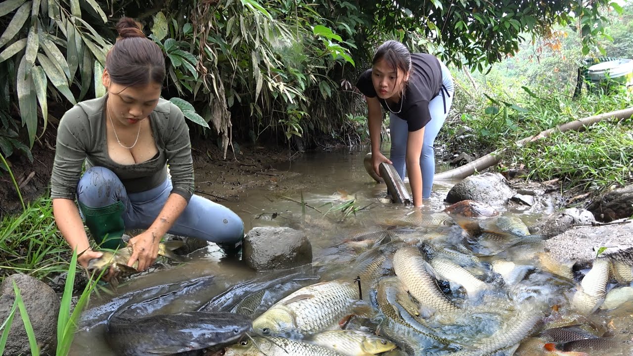 Survival Skills: Fishing Techniques, Catch A Lot Of Fish, Survival ...