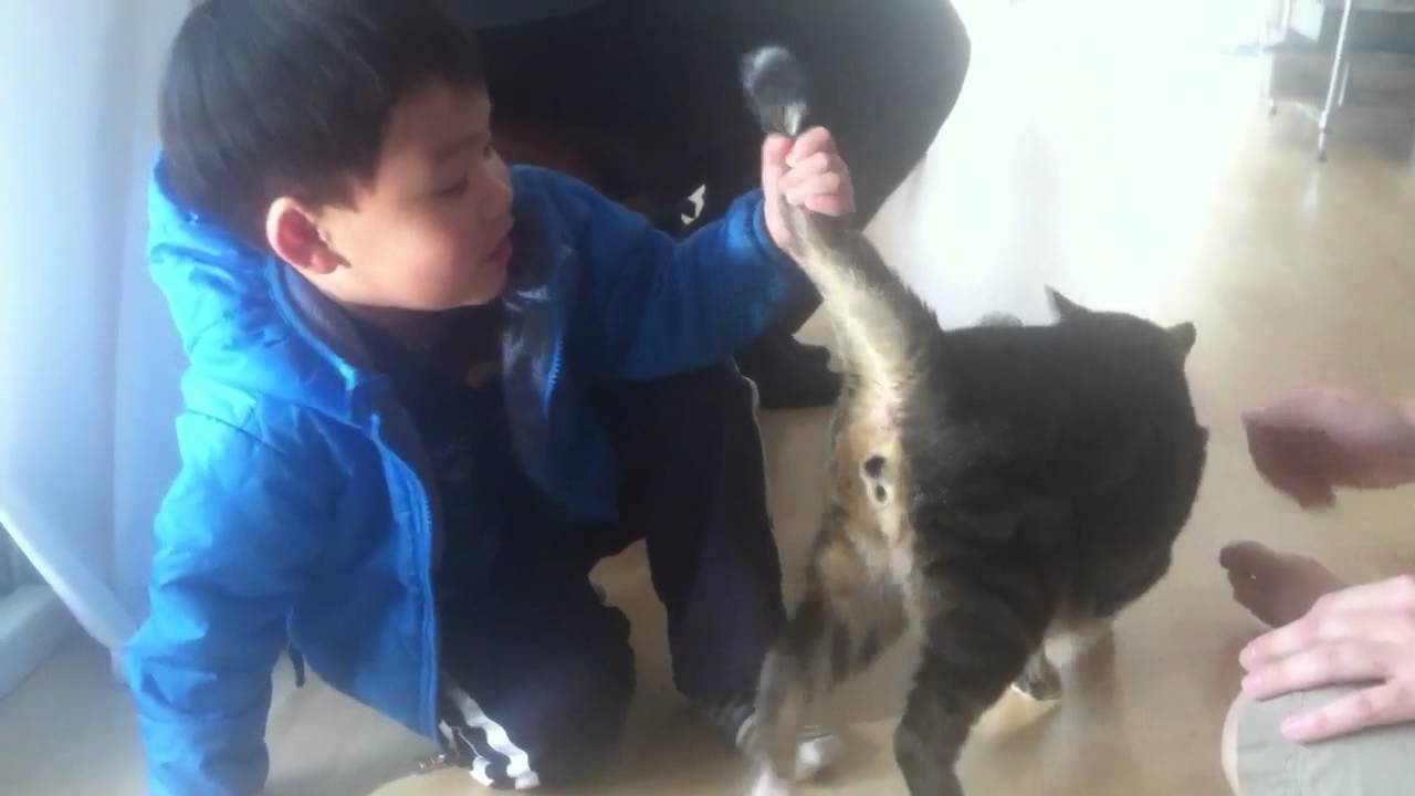 Jon and Atom the cat! - YouTube