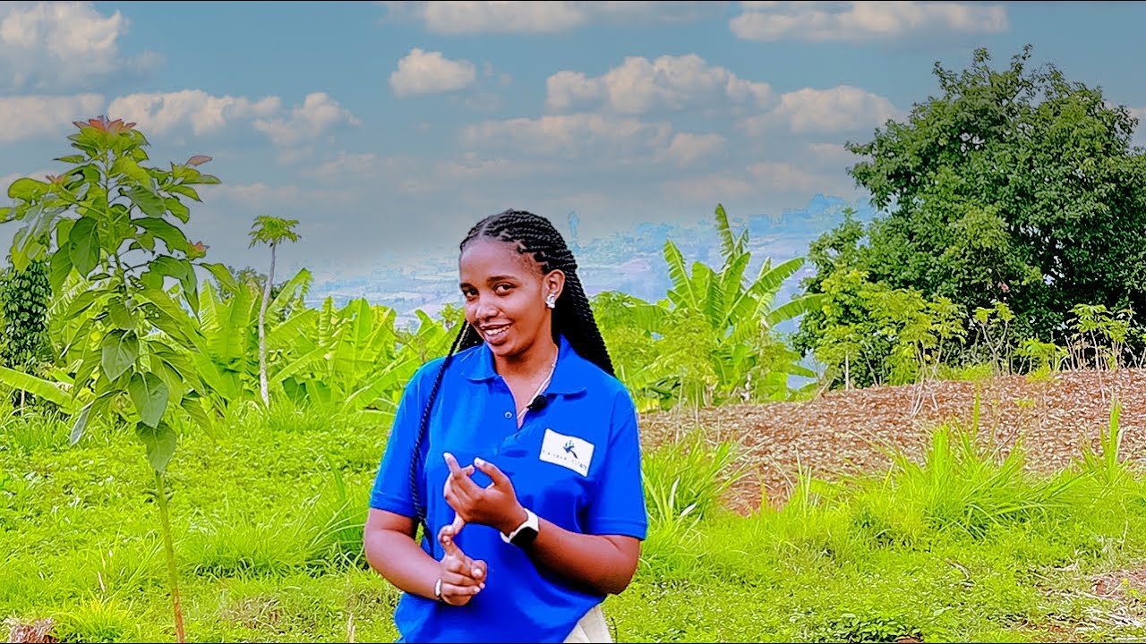 UMUTUNGO MWIZA UDAHENZE IKIBANZA KIZA 320M2 #KIGALI-NYARUGENGE-KANYINYA ...