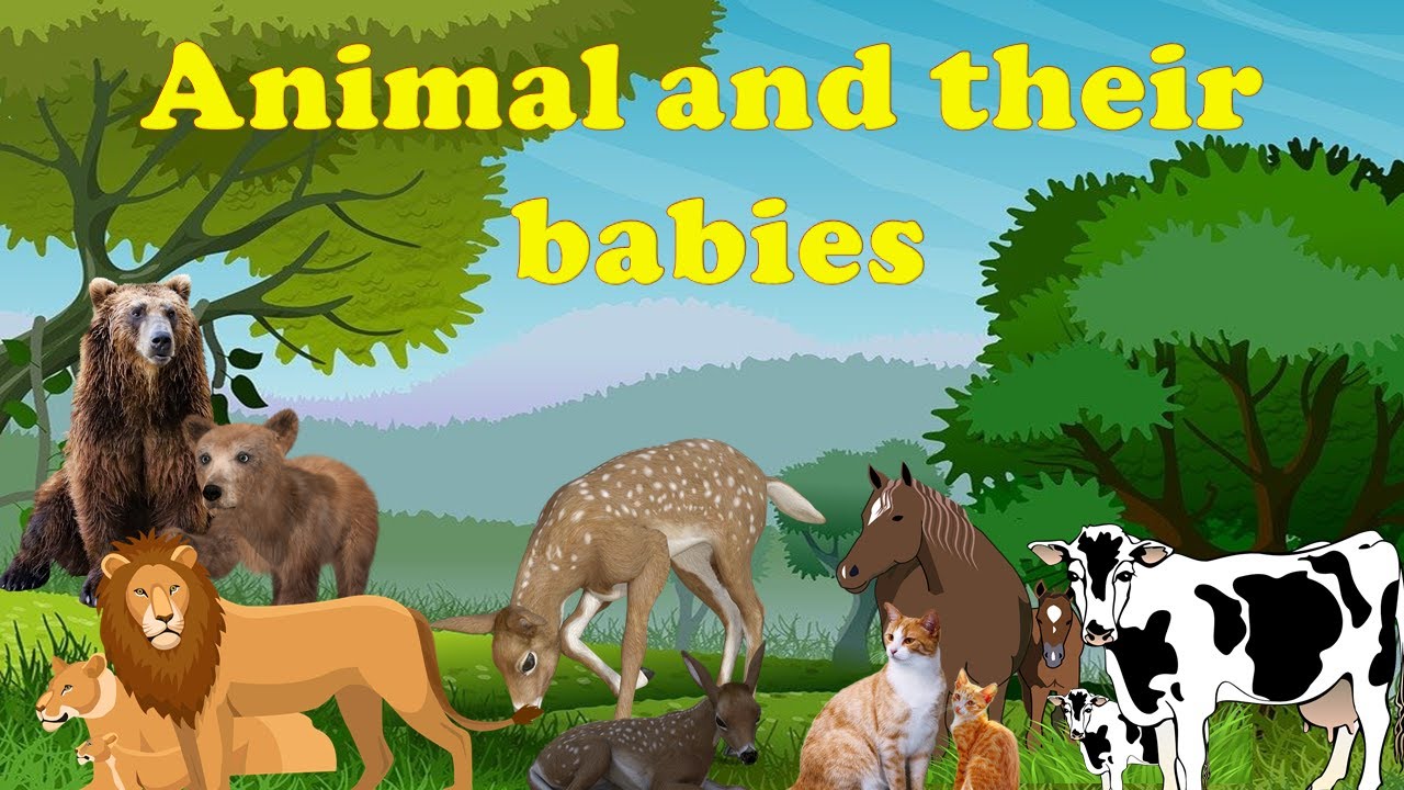 Animals and their babies|Animals and their young ones| Animal babies ...