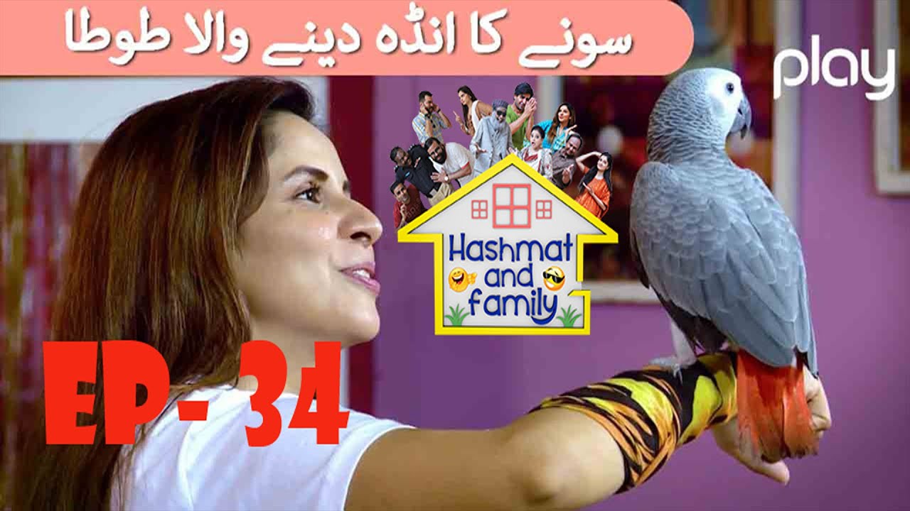 Hashmat and Family | Episode 34 | Comedy Drama | Play TV | 23 Sept 2021 ...
