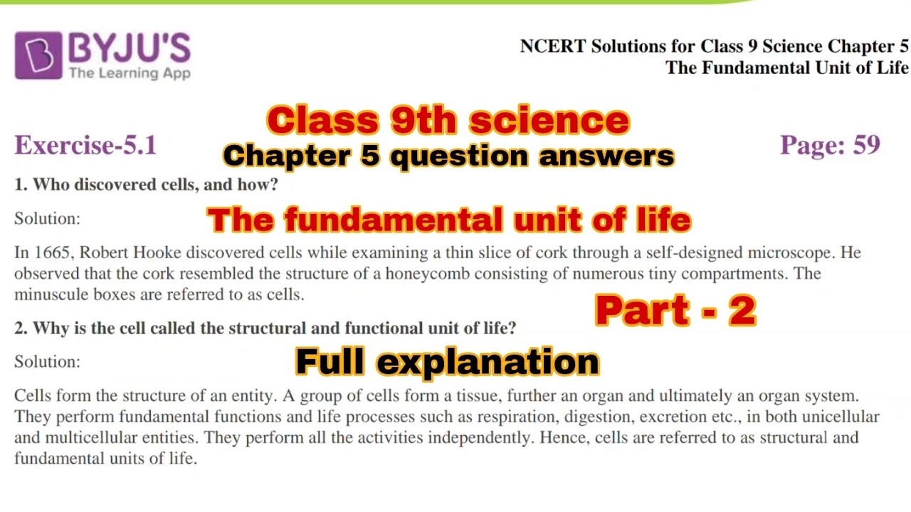 Class 9th science chapter 5 question answers | The fundamental unit of ...