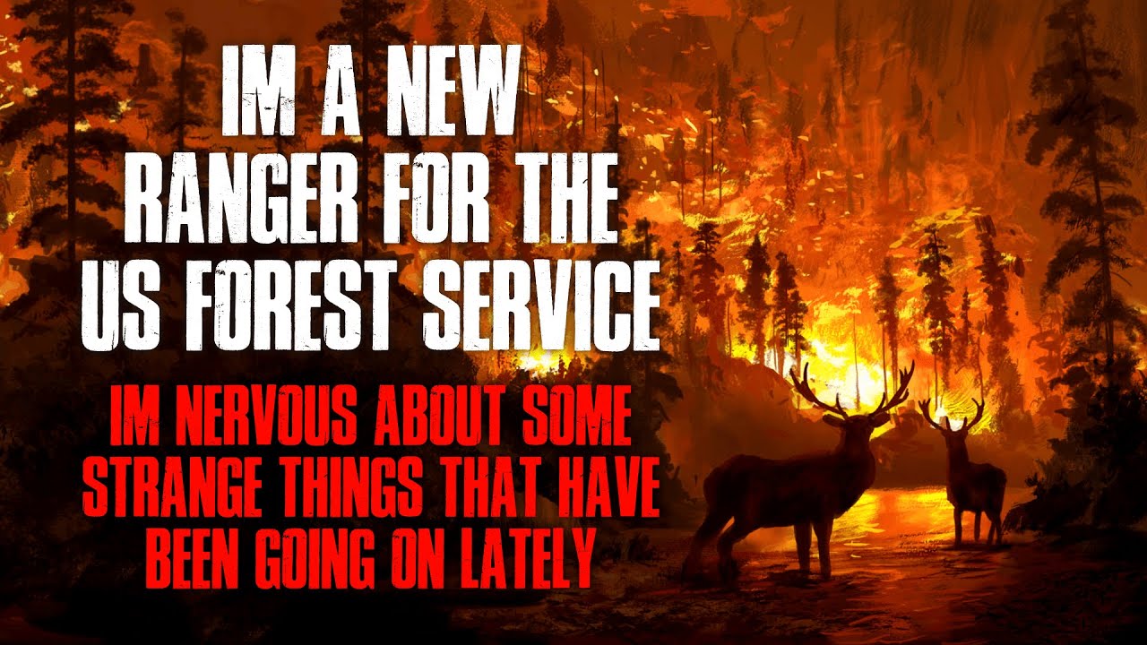 "I'm A New Ranger For The US Forest Service, Strange Things Have Been ...