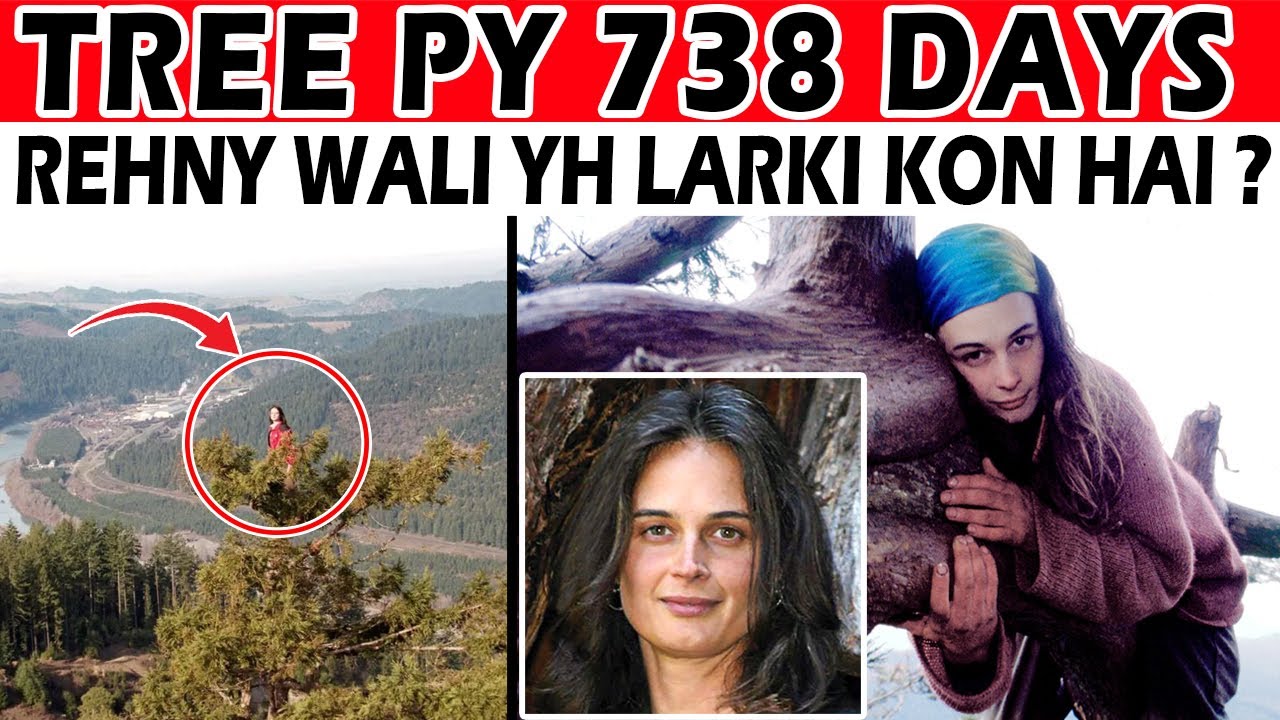 Woman Who Lived 738 Days On Tree | Julia Butterfly Hill | Tashreeh ...