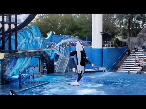 Final Part of One Song | One Ocean | SeaWorld Orlando | October 19 ...