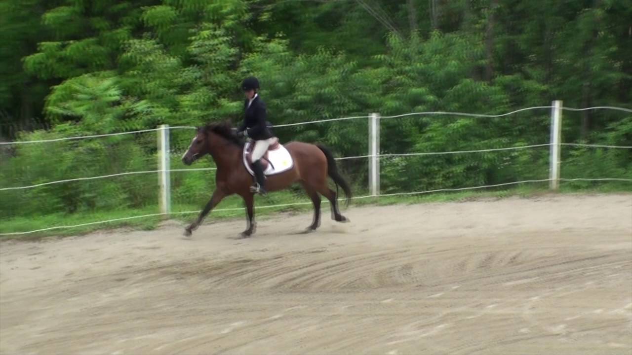 2106 Sunni Bell Stables show 1 - YouTube