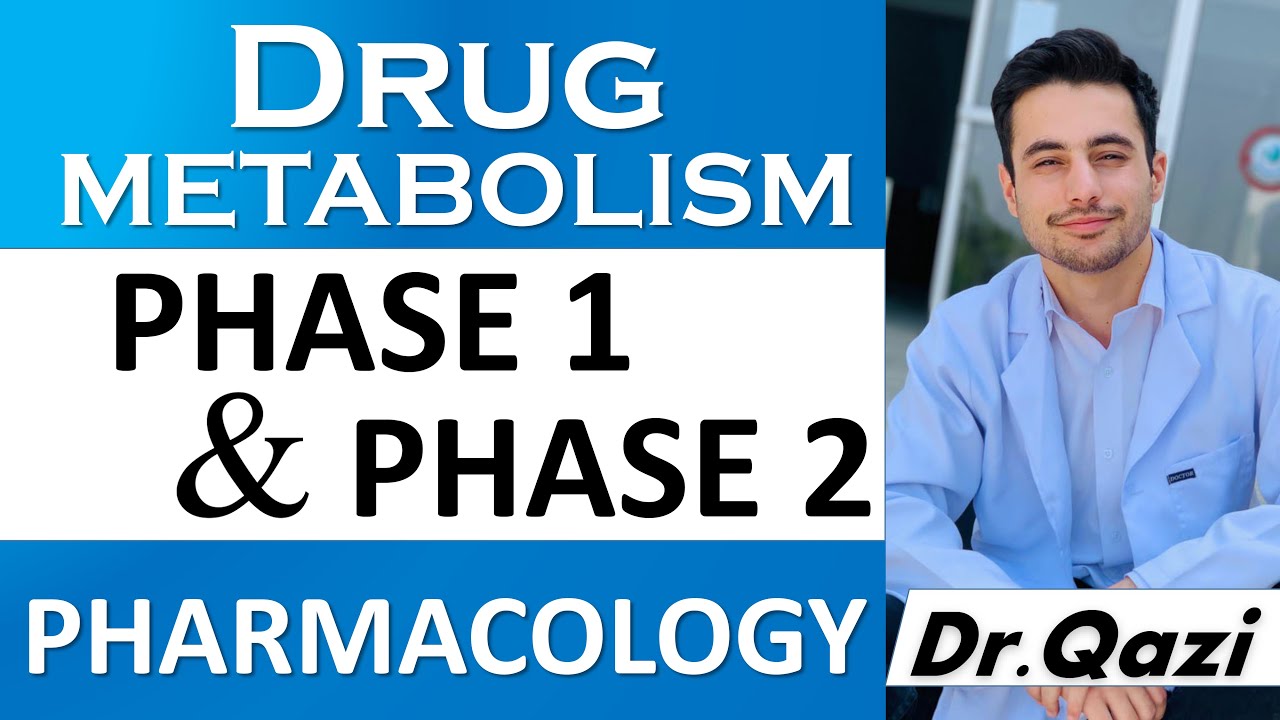 Drug Metabolism | Phase 1 and Phase 2 Reactions - YouTube